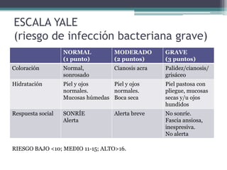 Fiebre sin foco en pediatria | PDF