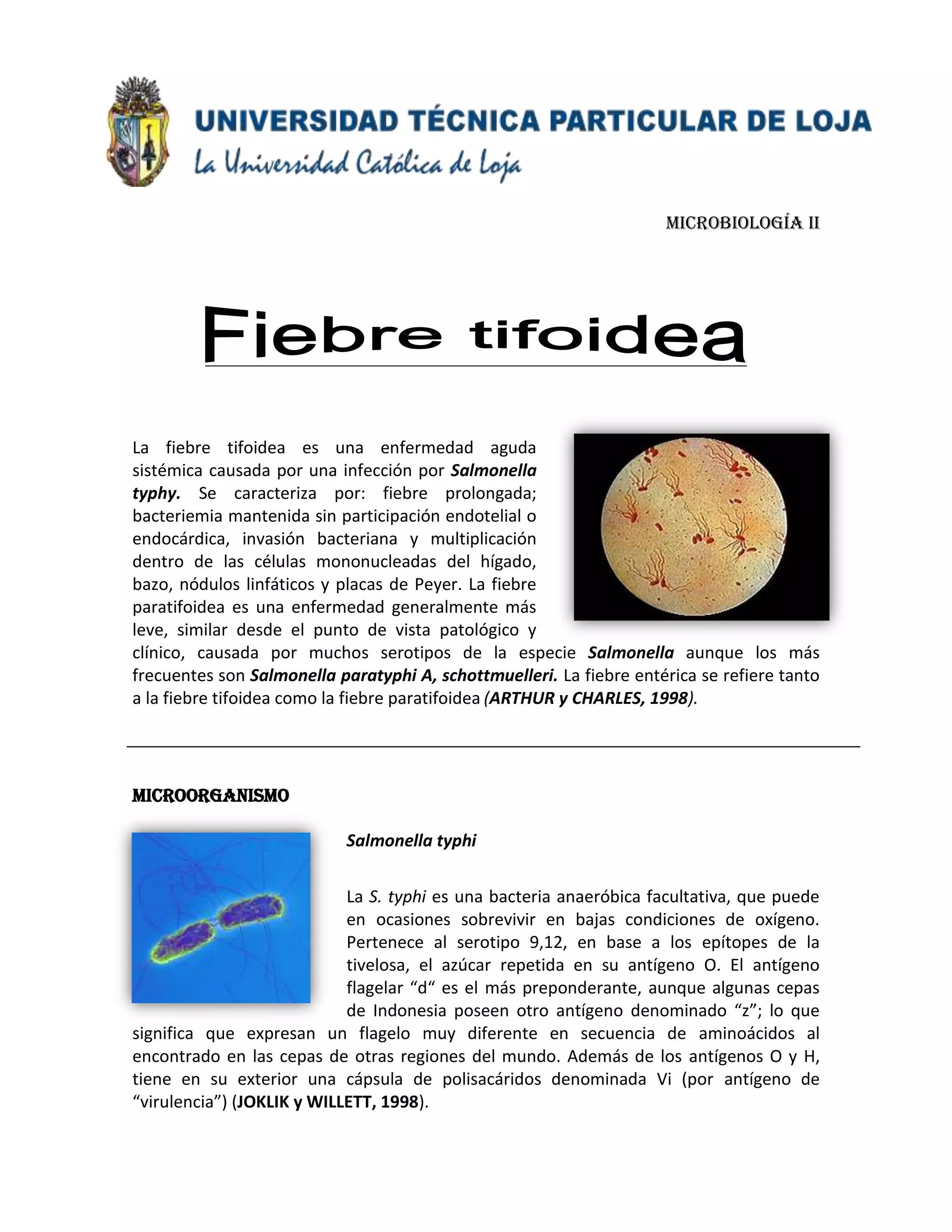 Fiebre Tifoidea | DOCX | Infectious Diseases | Diseases and Conditions