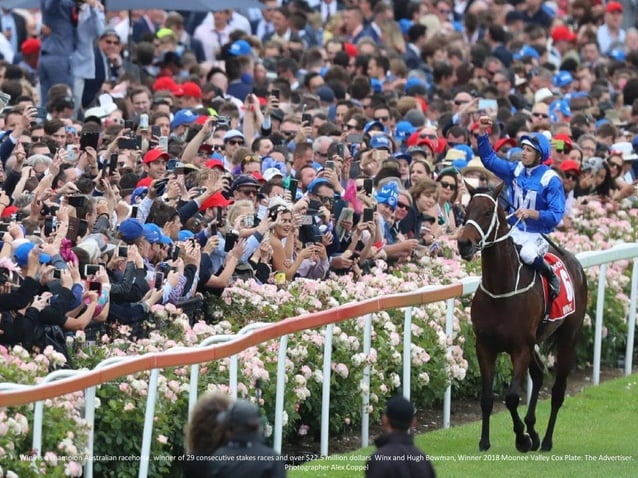 Informing a social licence to operate | PDF | Equine Sports | Sports