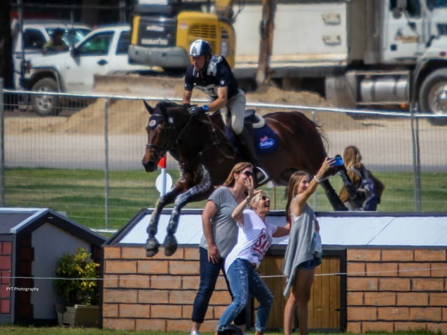 Informing a social licence to operate | PDF | Equine Sports | Sports