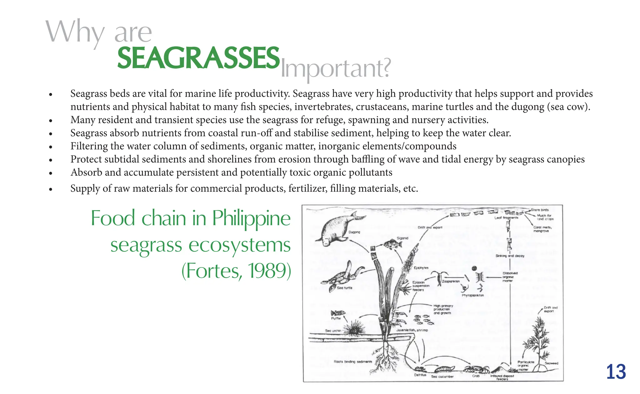 Field-Guide-on-Seagrass sampling methods.pdf