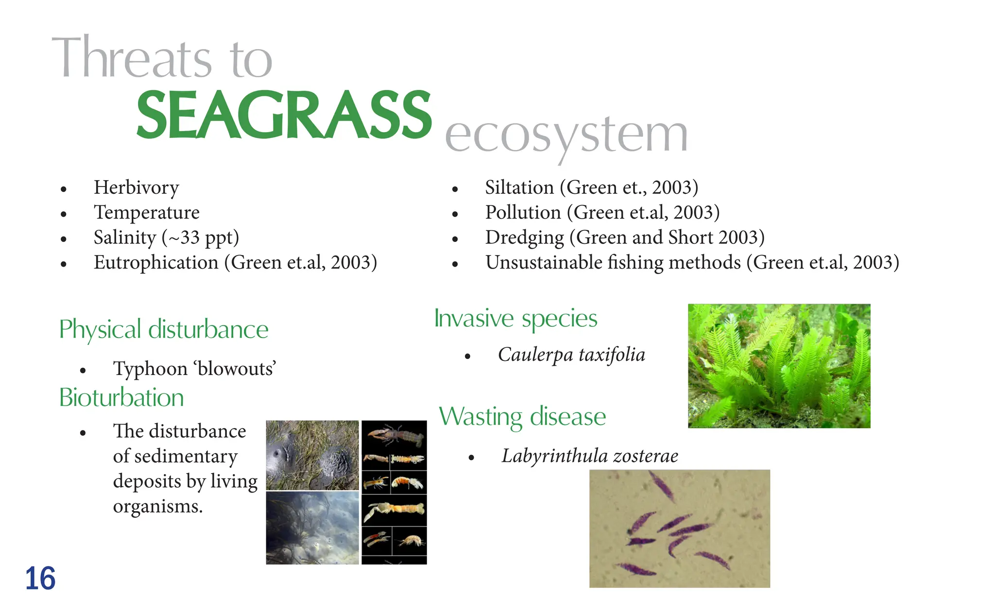 Field-Guide-on-Seagrass sampling methods.pdf