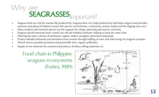 Field-Guide-on-Seagrass sampling methods.pdf