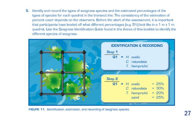Field-Guide-on-Seagrass sampling methods.pdf