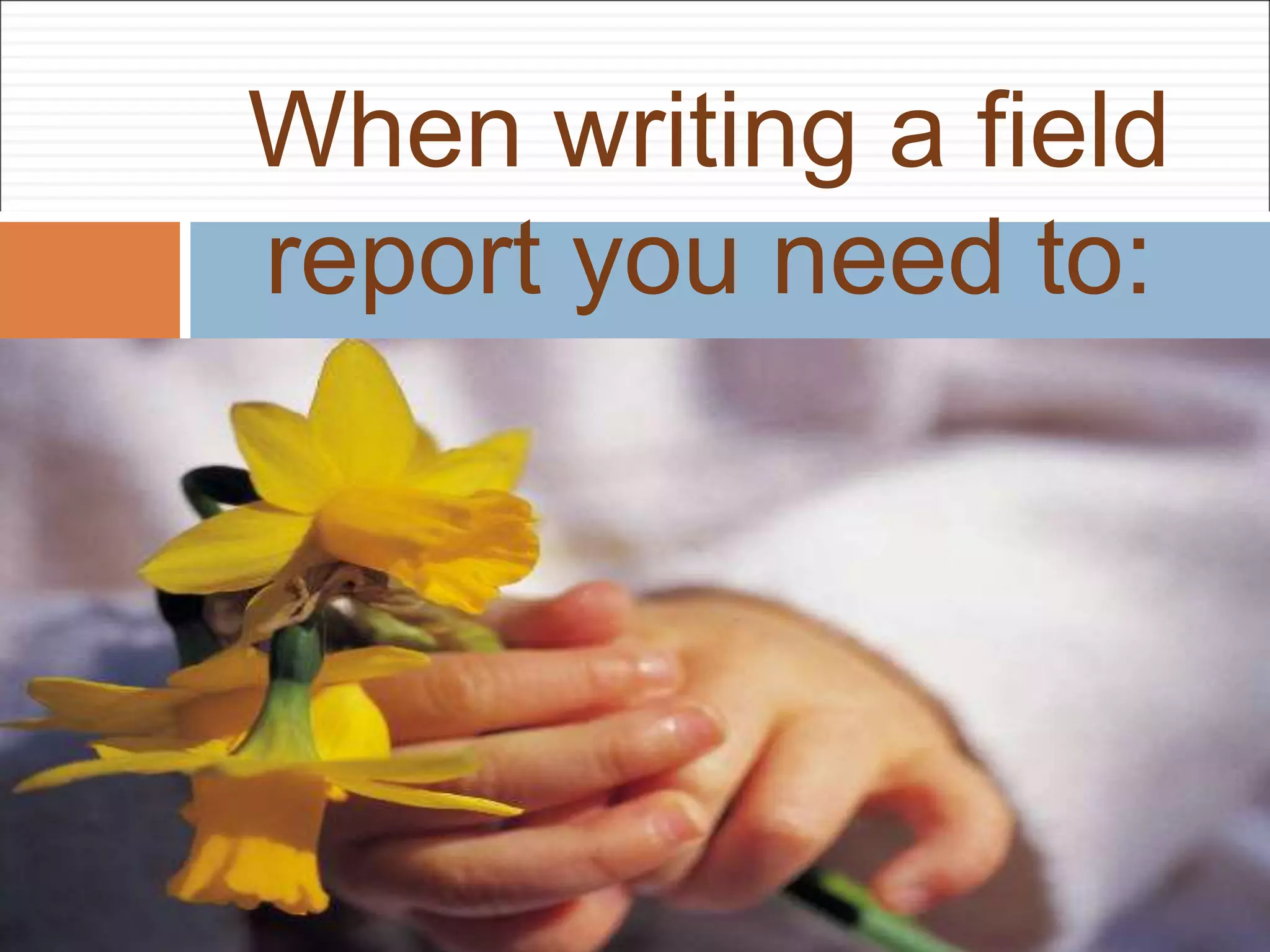 field-reports.ppt