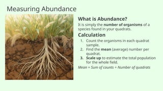 Fieldwork Techniques: Using Quadrats, Transects, and Data Analysis in ...