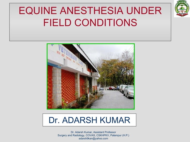 Field anesthesia horse | PPT | Chemistry | Science