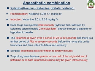 Field anesthesia horse | PPT