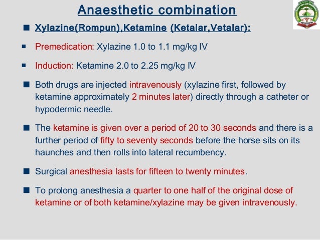 Xylazine Dosage For Dogs