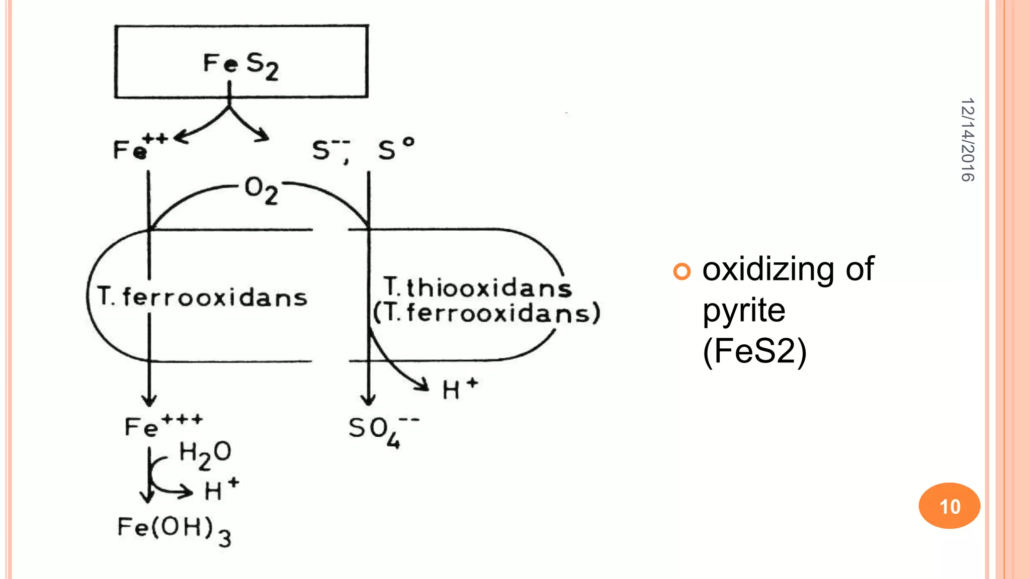 Field Application Of Metal Microbe Interaction Pptx Chemistry Science