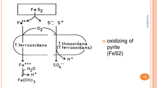 Field application of metal microbe interaction | PPTX