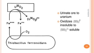 Field application of metal microbe interaction | PPTX