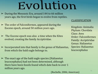 Twin Cities Mississippi River Gorge Field Assignment | PPTX