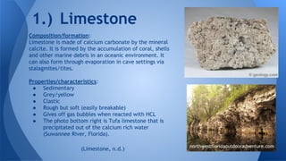 Field assignment | PDF | Geography | Science