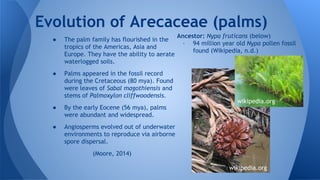 Field assignment | PDF | Geography | Science