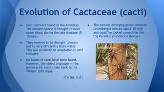 Field assignment | PDF | Geography | Science