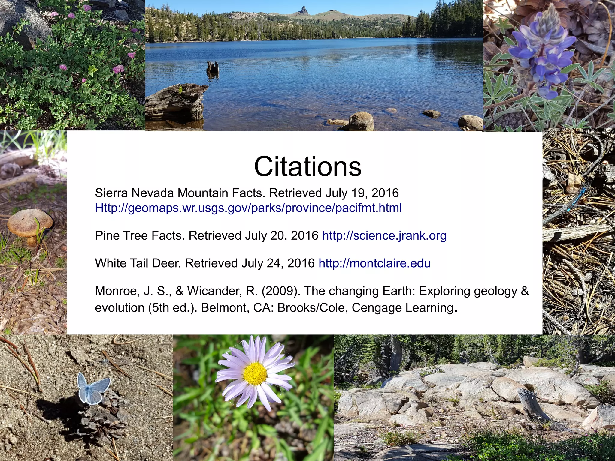 Field assignment | PDF