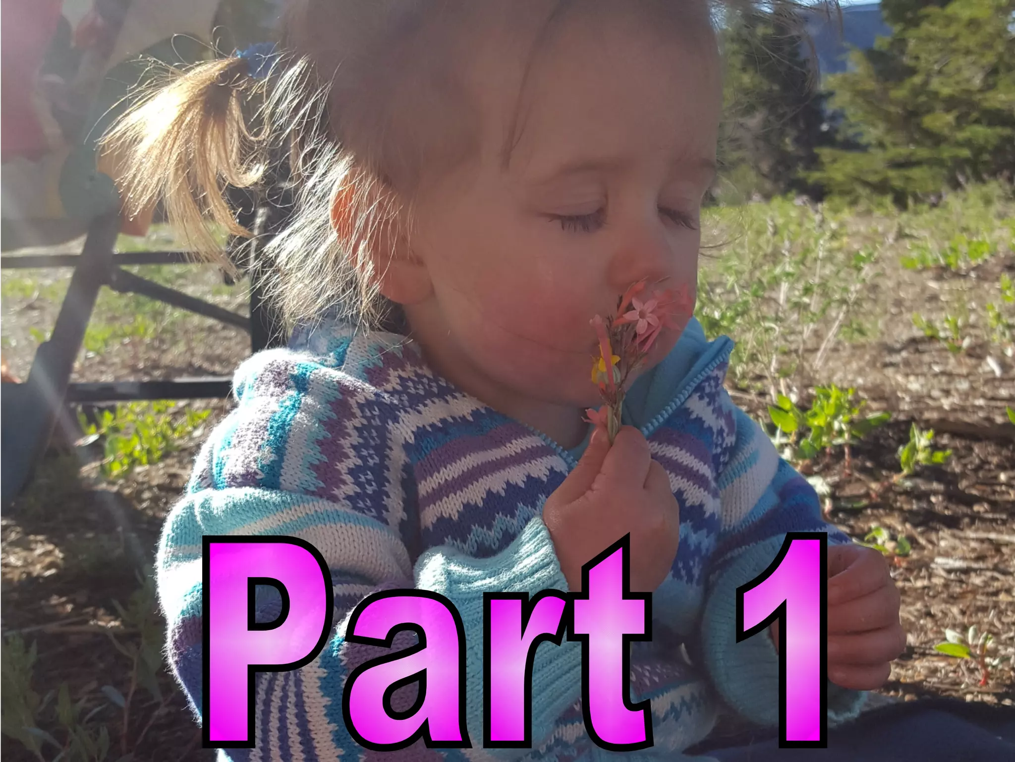 Field assignment | PDF