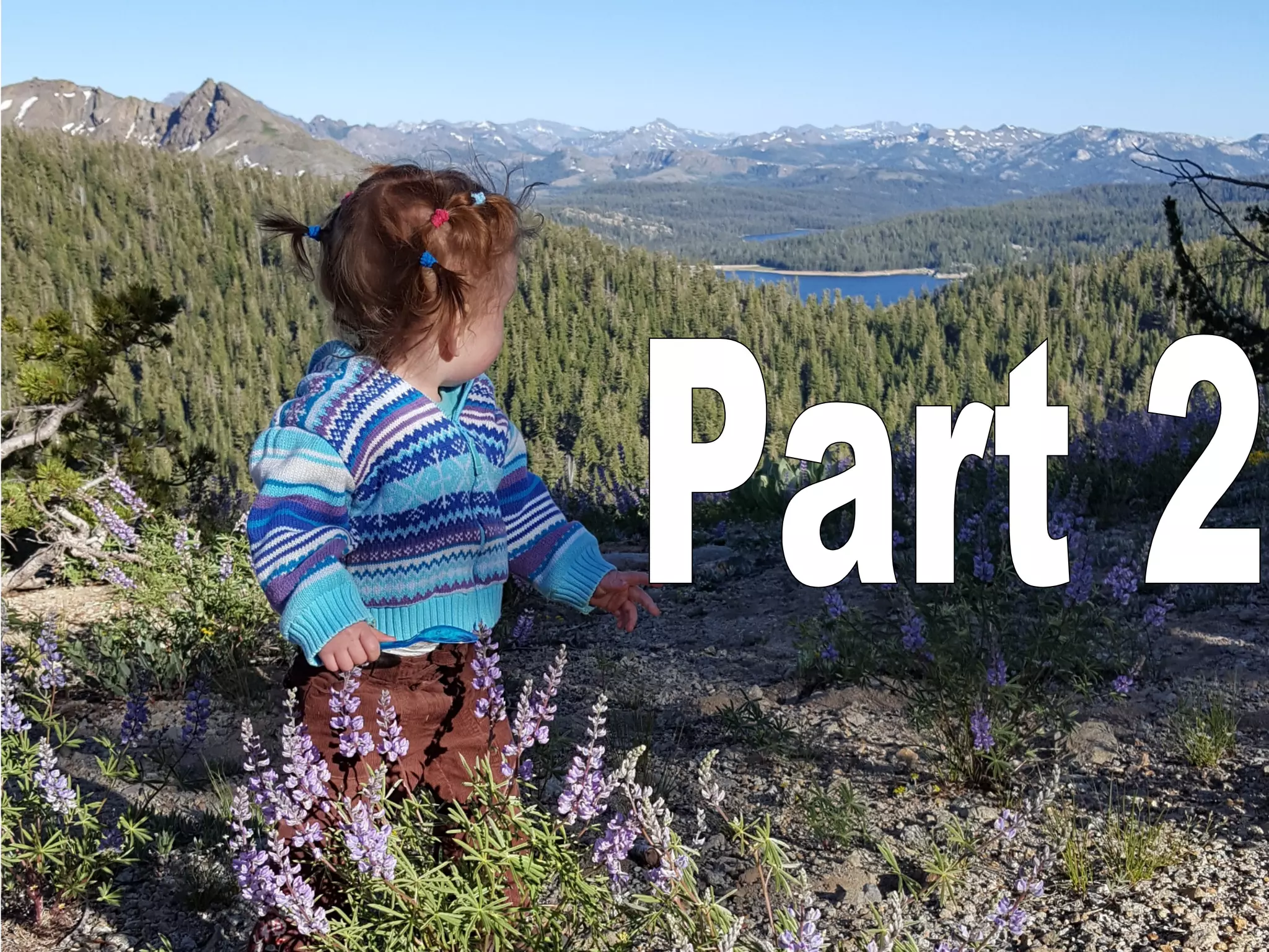 Field assignment | PPT