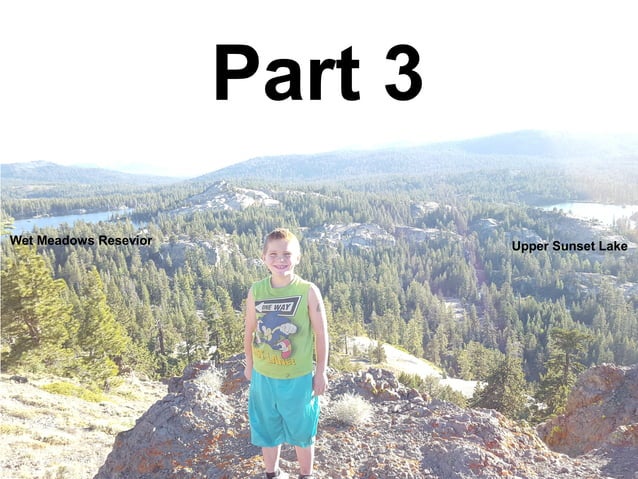 Field assignment | PDF