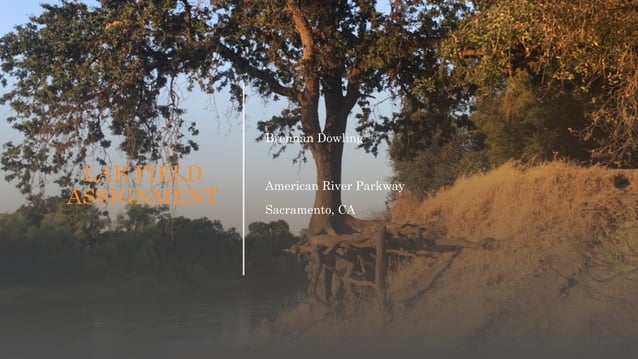 Field assignment | PPT