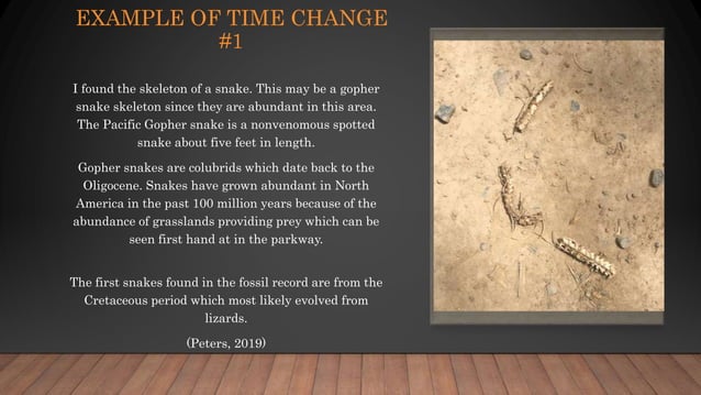 Field assignment | PPT