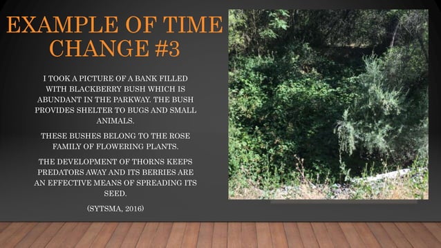 Field assignment | PPT