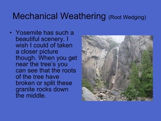 Field assignment part 2 | PPT