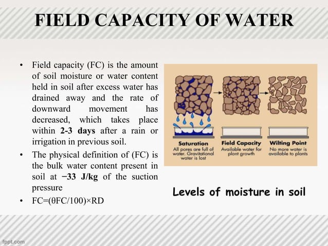 Field Capacity of Water.ppt | Geology | Science