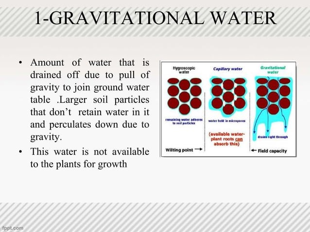 Field Capacity of Water.ppt | Geology | Science