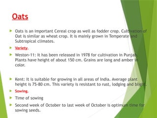 Field_crop_Presentation 7th semasterpptx | PPT