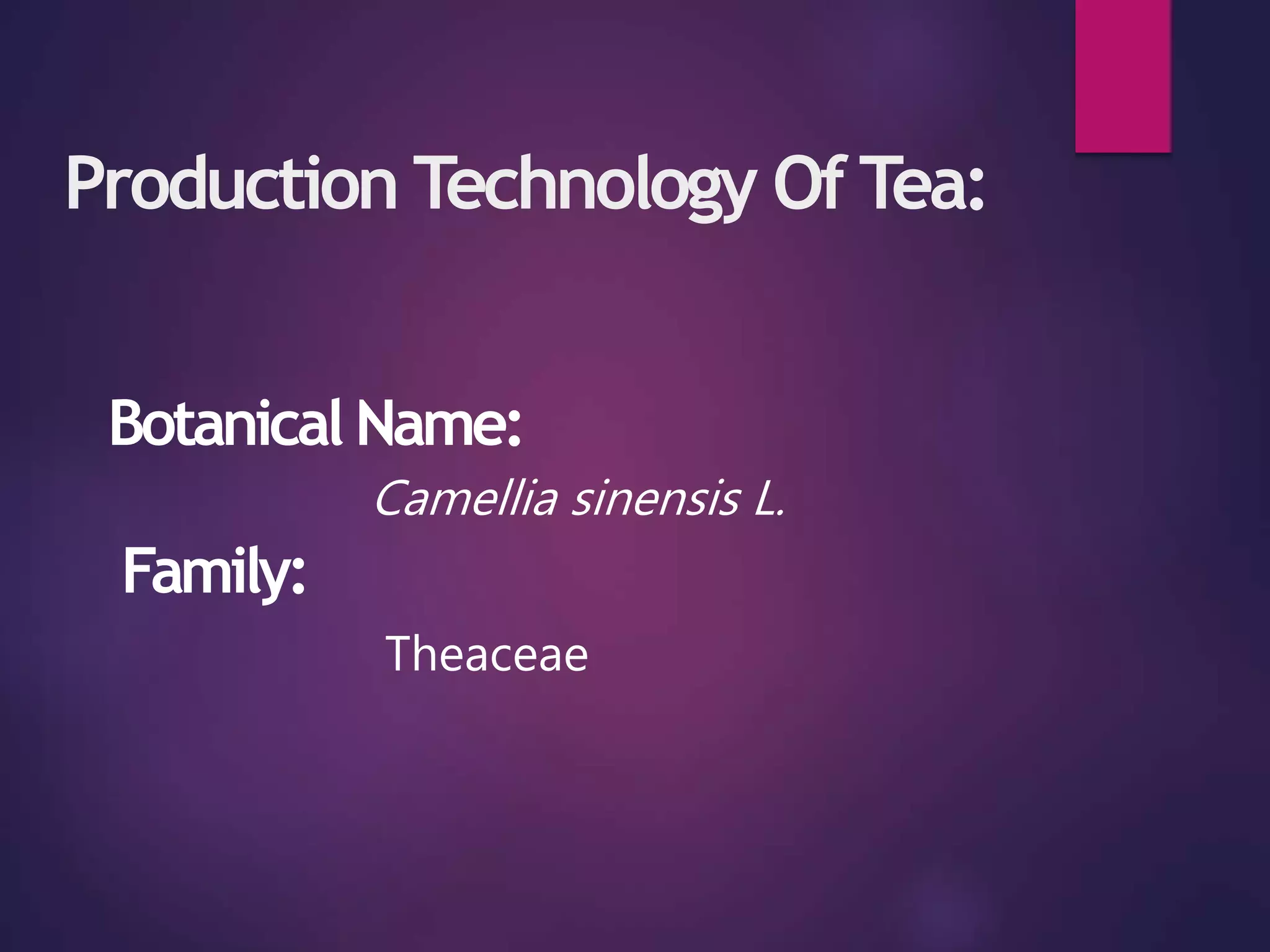 Introdection Prodection Technology of TEA | PPT