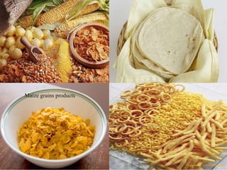 Major crops of Pakistan | PPTX
