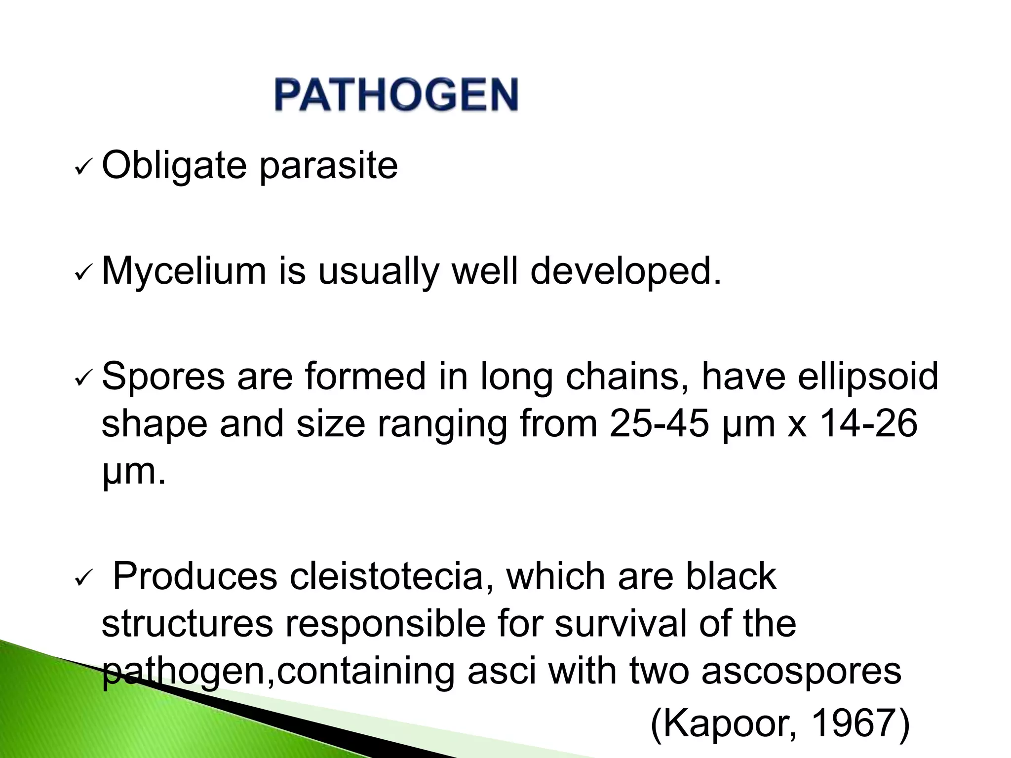 DISEASES OF SUNFLOWER AND CASTOR | PPTX