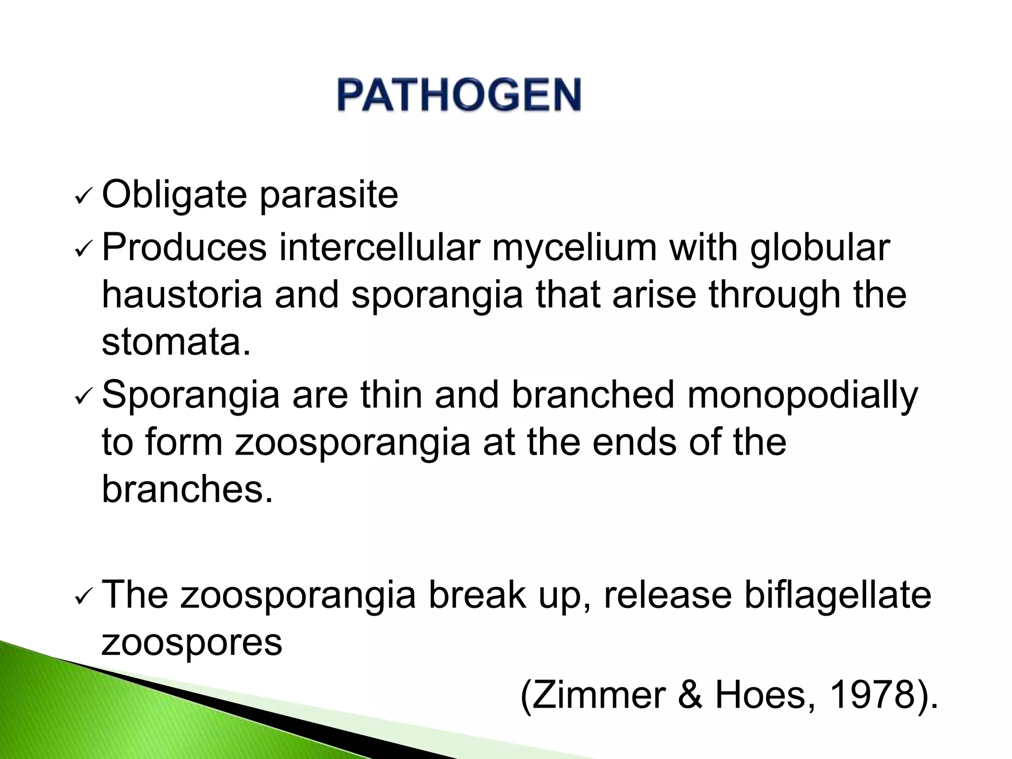 DISEASES OF SUNFLOWER AND CASTOR | PPTX
