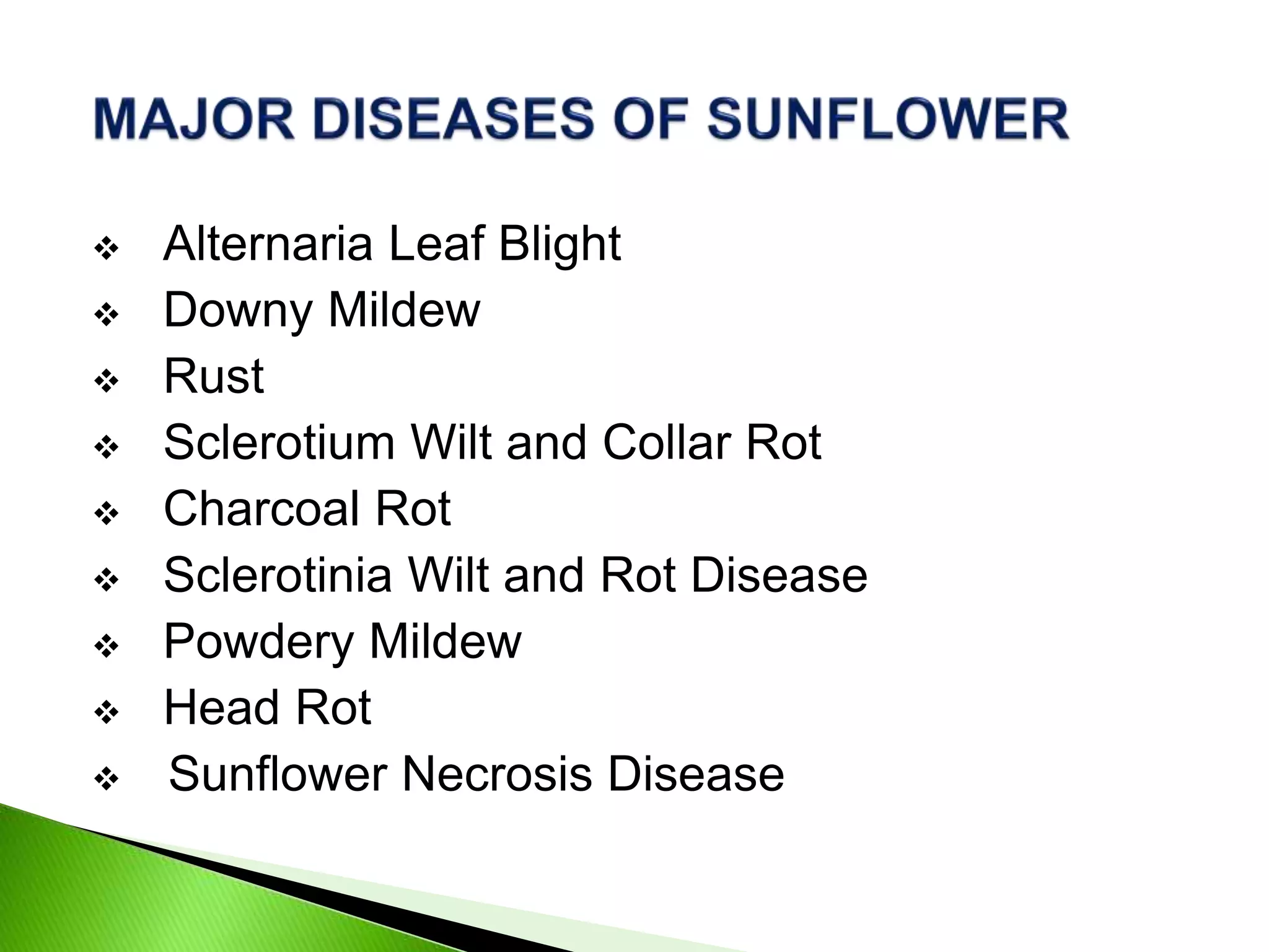 DISEASES OF SUNFLOWER AND CASTOR | PPTX