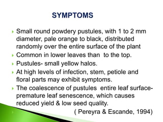 DISEASES OF SUNFLOWER AND CASTOR | PPTX