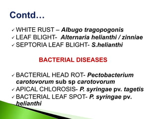 DISEASES OF SUNFLOWER AND CASTOR | PPTX
