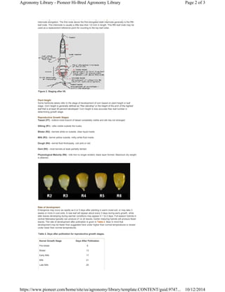 Field facts staging corn growth | PDF