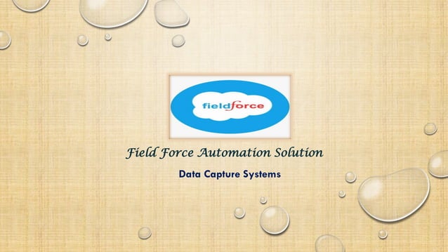 Field Force Automation | PDF