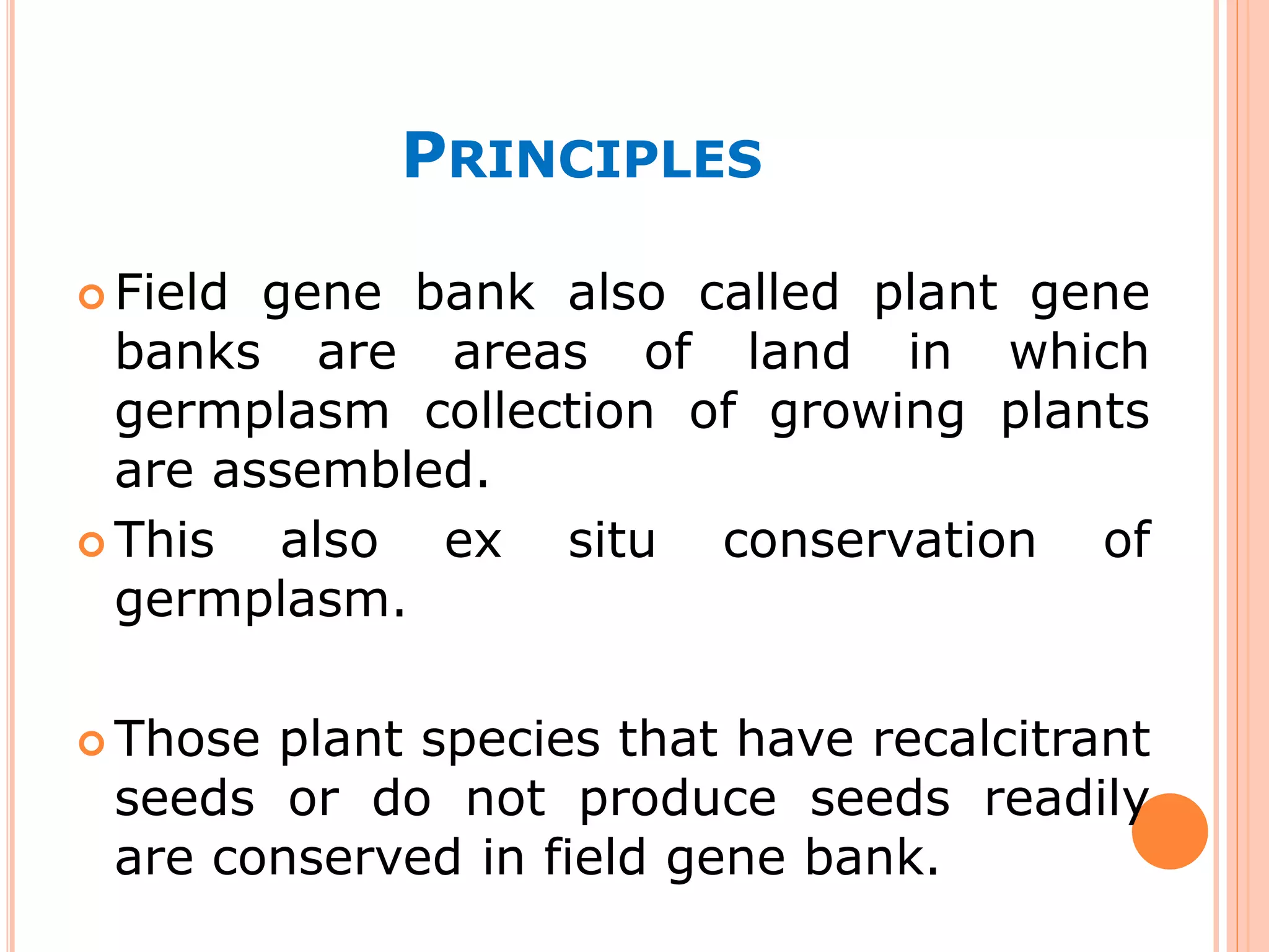 Field gene bank and seed bank bhavubha | PPT