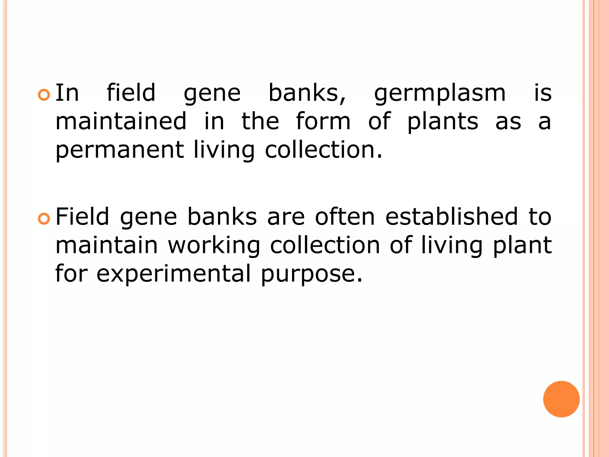 Field gene bank and seed bank bhavubha | PPTX