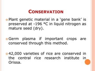Field gene bank and seed bank bhavubha | PPTX