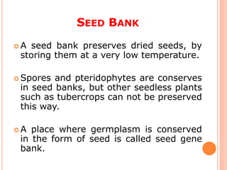 Field gene bank and seed bank bhavubha | PPTX