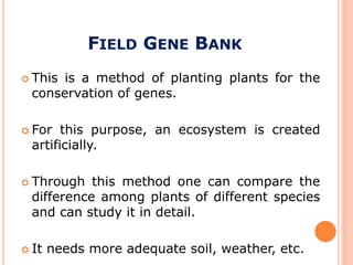 Field gene bank and seed bank bhavubha | PPTX