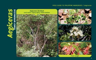 Field Guide to Phil. Mangroves.pdf