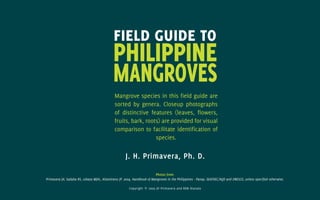 Field Guide to Phil. Mangroves.pdf