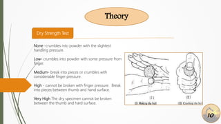 Field Identification of Soil.pptx
