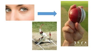 FIELDING POSITION SBP.pptx