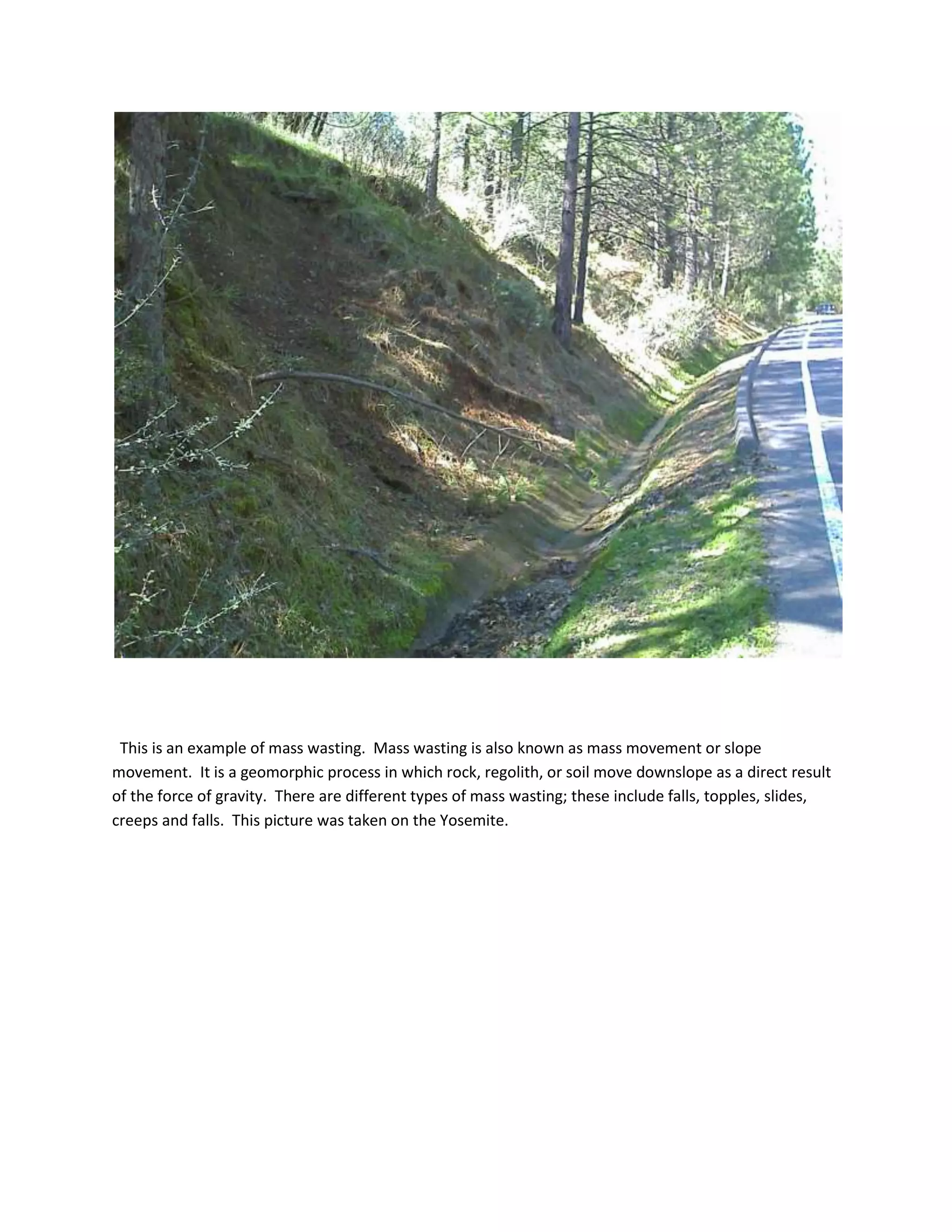 Field lab assignment Part Two | DOCX